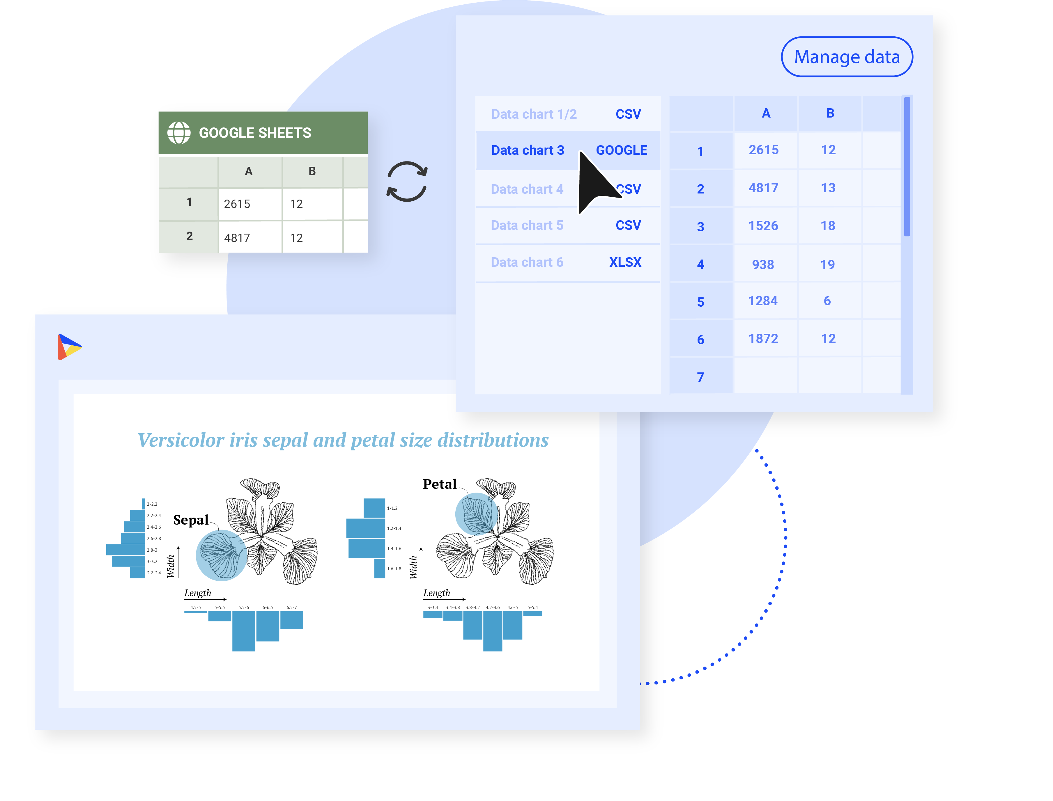 Free Histogram Maker - Create Your Own Histogram Online | Datylon